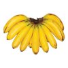 Banana Lakatan fruit 500g - Bohol Online Store